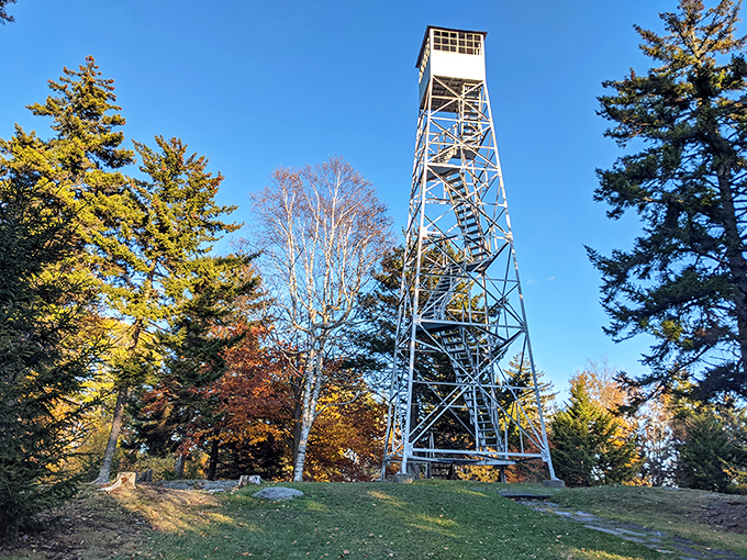 Allis State Park's fire tower: Climb for the cardio, stay for the three-state panorama.