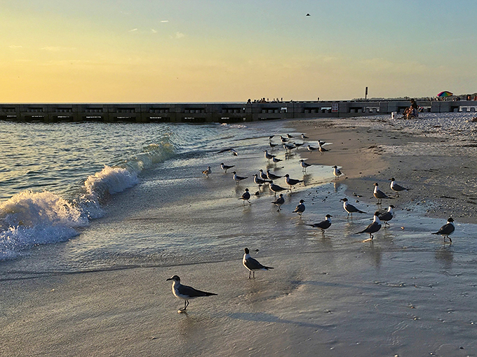 Anna Maria Island's sunsets are nature's way of showing off. This beach view is better than any postcard you could send.