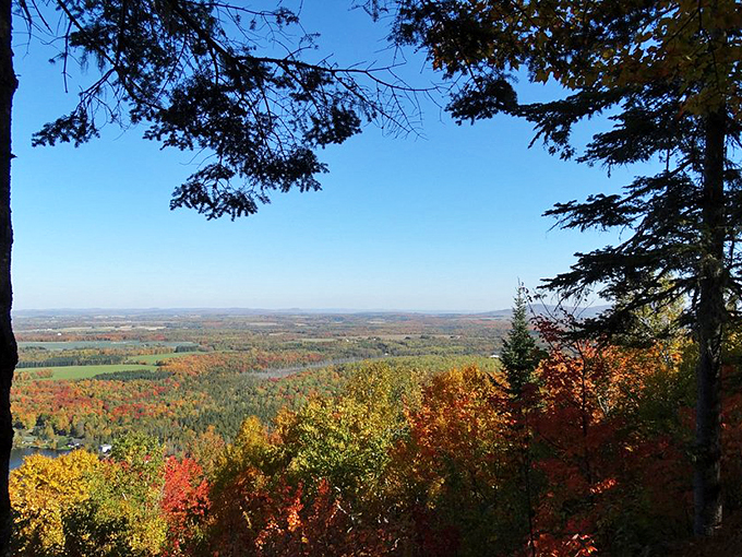 Aroostook's serene waters: Nature's mirror, reflecting the beauty of Maine's great outdoors. Selfie sticks are optional!