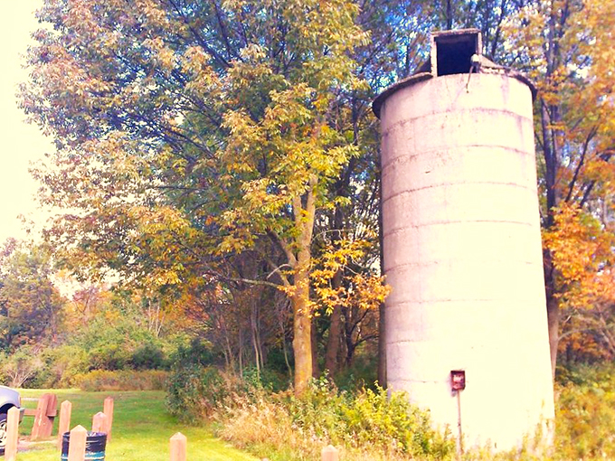 Where time slows down and nature takes center stage. The perfect spot for a Thoreau moment.