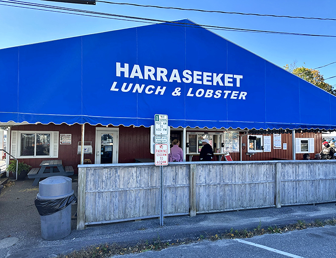 Picnic tables and ocean views: Harraseeket's recipe for the perfect Maine dining experience. Just add lobster and enjoy!