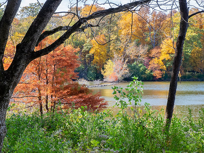Who needs a time machine when you've got this view? It's like peeking into Illinois' wild past. Photo credit: Bob Fromm