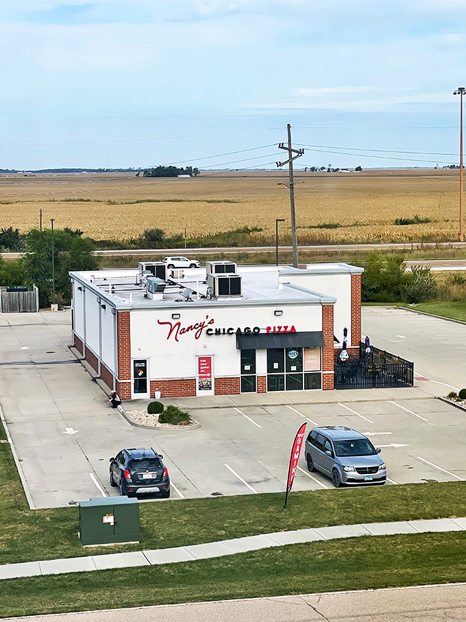 Nancy's Pizza: Proof that great deep-dish can thrive beyond city limits. It's the pizza equivalent of a destination wedding.