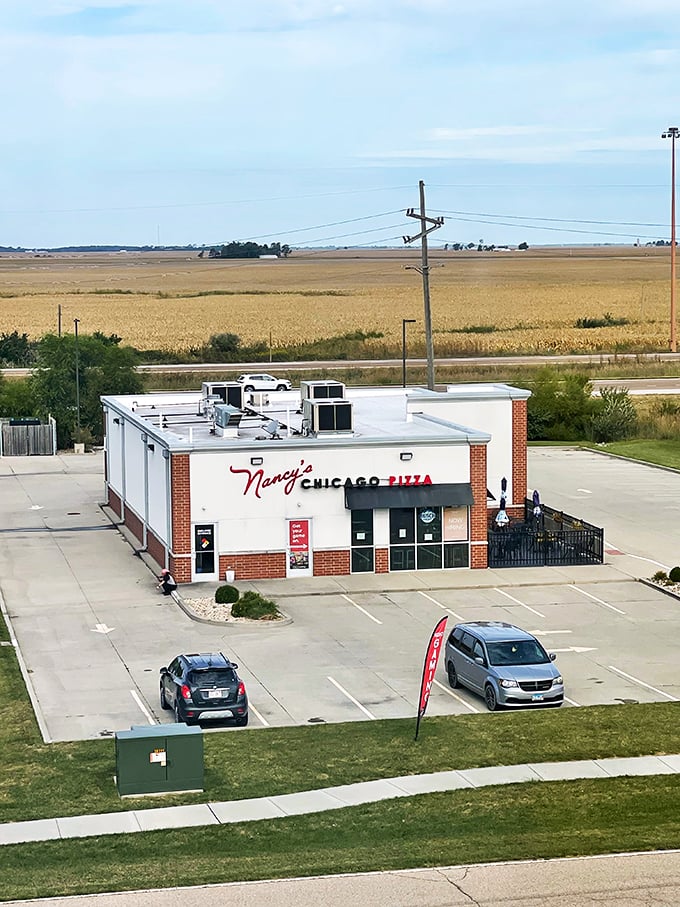 Nancy's Pizza: Proof that great deep-dish can thrive beyond city limits. It's the pizza equivalent of a destination wedding.