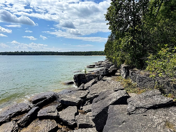 Rocky shores meet forest edge in a wilderness symphony that plays year-round.