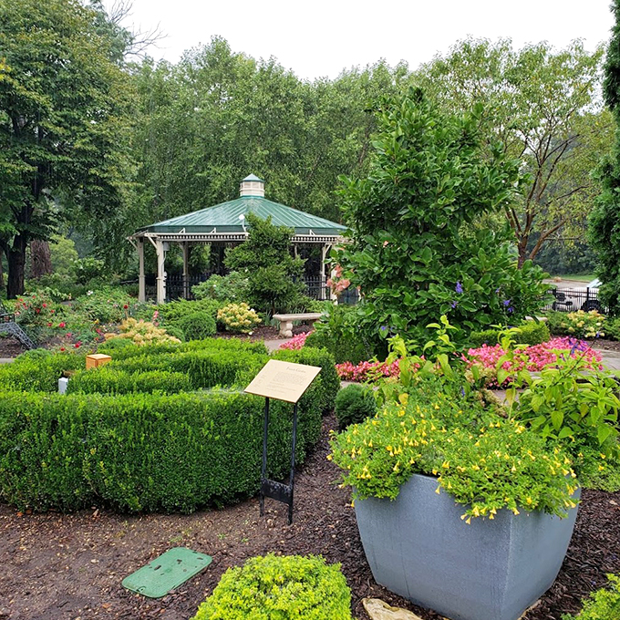 Gazebo goals, part deux! This green-roofed beauty is the garden's VIP lounge, perfect for shaded contemplation and nature-watching.