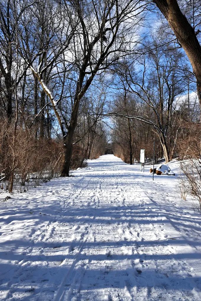 Snow-covered paths invite wanderers to explore Rochester's quiet corners and hidden treasures.