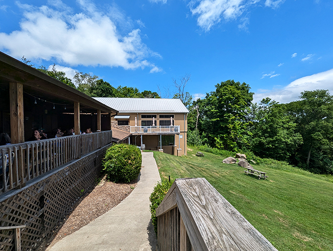 Sip, sip, hooray! Wolf Creek's outdoor space is perfect for those "I'm totally adulting" moments. Wine glass optional, good vibes mandatory.