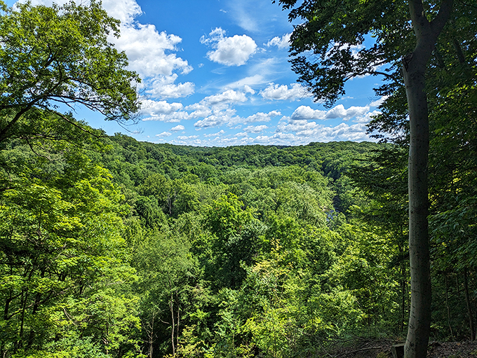 Nature's IMAX: Tinkers Creek Gorge spreads out before you like a living, breathing landscape painting. No 3D glasses required!