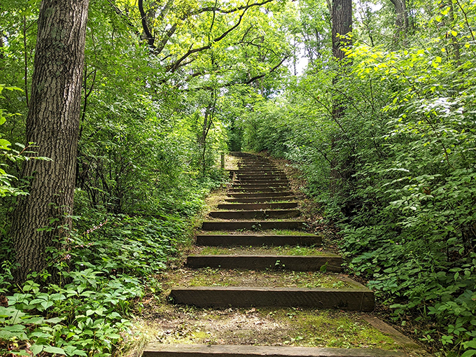 Nature's mirror! Waterloo's placid waters reflect the sky, doubling the beauty and your excuses to linger.