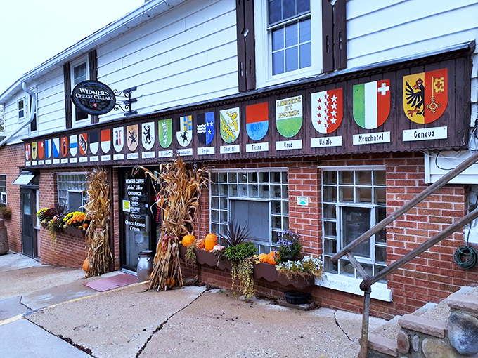 Fall into flavor! This autumnal scene proves that at Widmer's, every season is the perfect time for cheese.