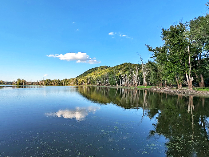 Forget Google Earth! These bluff-top vistas offer a bird's-eye view of river valleys that no satellite image can match. 