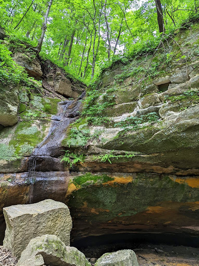 Sunset at Wyalusing: Nature's own light show. No tickets required, just bring your sense of wonder (and maybe some bug spray).