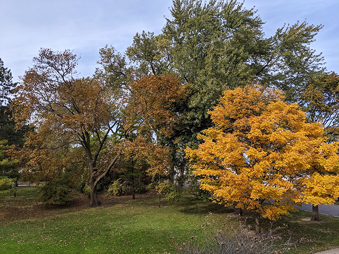 Autumn's grand finale: Gillson Park puts on a show that would make even the most jaded leaf-peeper swoon with delight.