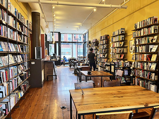 A forest of knowledge where every spine tells a story. Get lost in the stacks&mdash;it's the only place where getting lost is actually finding yourself.