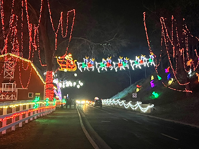 Who needs yellow brick roads? This glowing path leads visitors through an Oz-like wonderland of holiday magic and wonder.