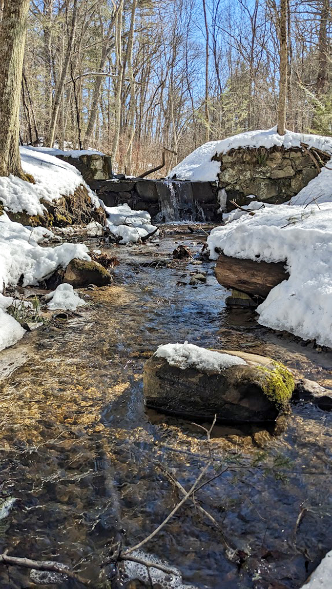 Winter wonderland or Narnia after the White Witch left? Either way, it's snow joke how beautiful this is.