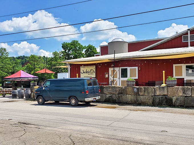 Jackie O's: Where beer dreams come true and hops meet happiness. A sudsy slice of Athens heaven.