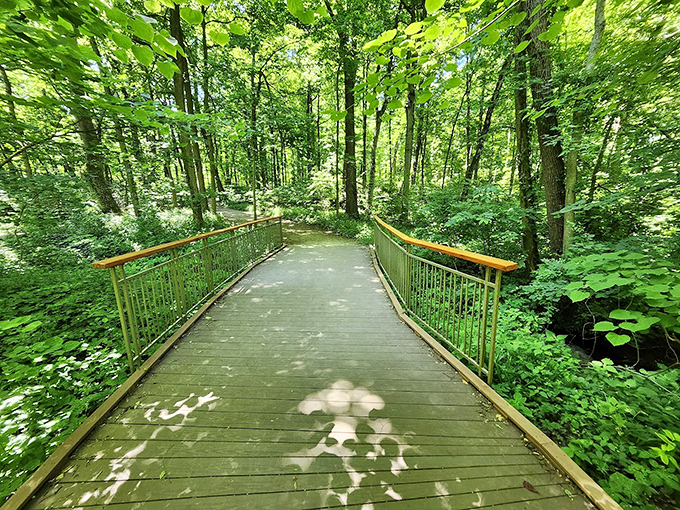 "Bridge over untroubled waters. This serene walkway invites you to cross into a world of leafy wonder."