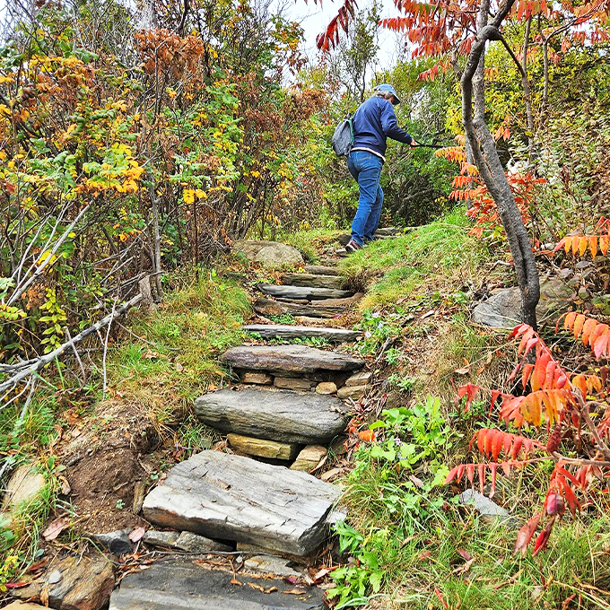Stairway to heaven? Not quite, but close enough. These rustic steps promise an adventure that's one part workout, two parts wonder.