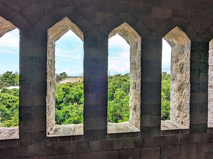 Peekaboo, I see... paradise! These windows offer glimpses of Florida's lush landscape that'll make you forget you're in a castle, not a treehouse.