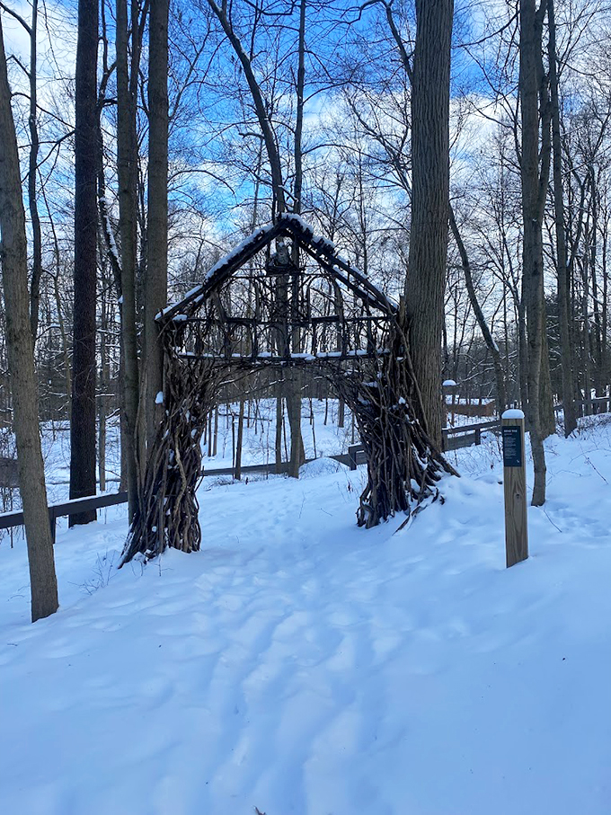 Winter's enchanted gateway. This snow-dusted arch transforms the forest into a magical realm straight out of a fairy tale.