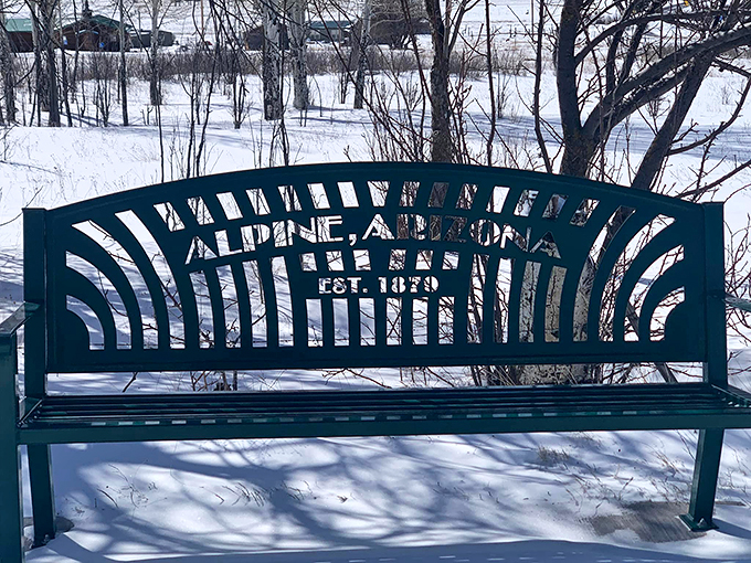 A seat with a view: Alpine's benches invite you to pause, breathe deep, and soak in the mountain air. No reservation is required.