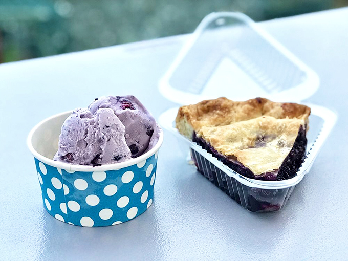 Maine's wild blueberries star in this classic duo: homestyle pie meets creamy ice cream in a polka-dot cup.