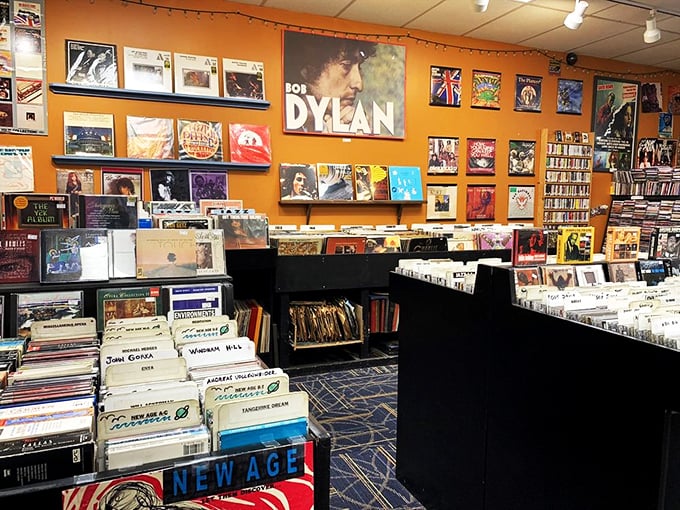 Dylan watches over his musical kingdom. Here, folk royalty rubs shoulders with rock rebels and jazz giants.