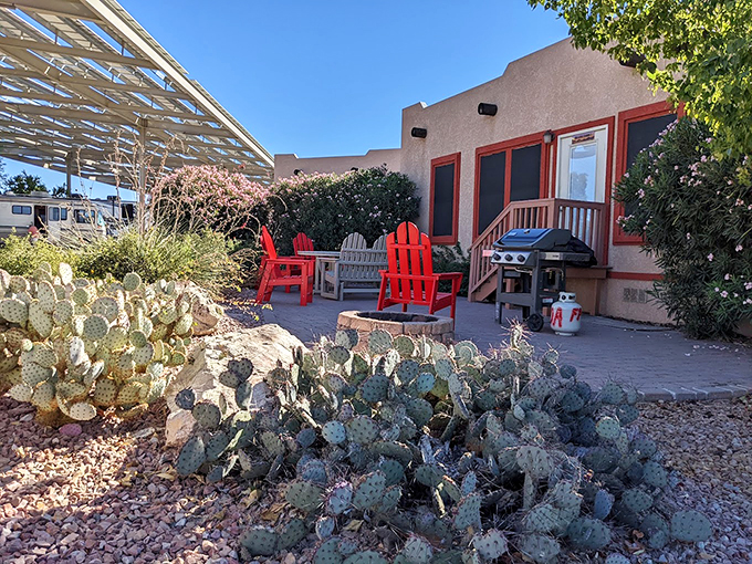 Desert chic at its finest. These prickly pears add a touch of local flair to your patio, reminding you that beauty can be found in the harshest places. Photo credit: Darliene Field