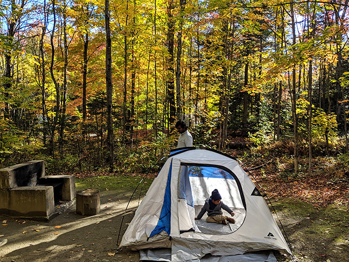 Family bonding, Gifford Woods style: Where pitching a tent becomes a team sport and ghost stories are told under a canopy of stars.