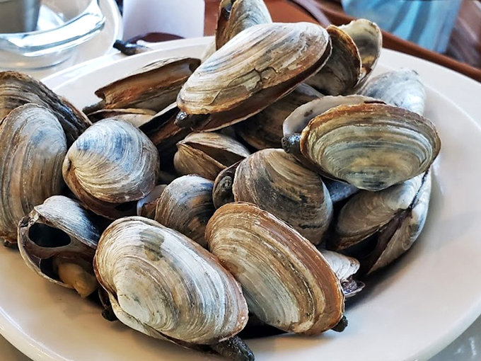 These steamed clams look like they just took a spa day in butter and broth &ndash; and they're ready for their close-up.