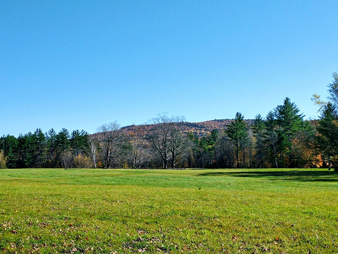 Rolling green meadows meet forest edges under Maine's big sky, offering a moment of pure tranquility.