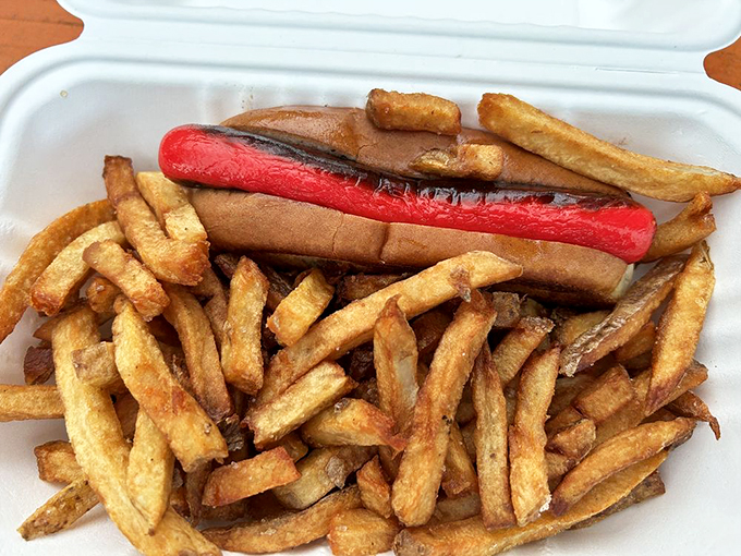 A classic red hot dog - Maine's signature - nestled alongside fries that look like they're ready for their close-up.