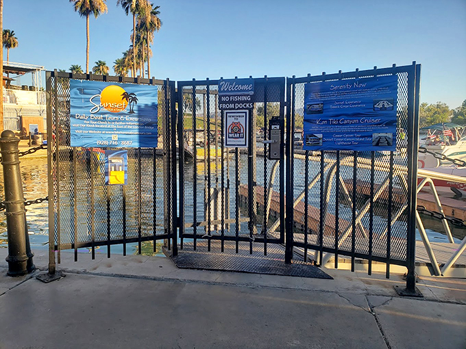 Rules are made to be followed... especially when they lead to unforgettable adventures on Lake Havasu!