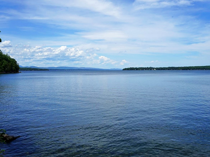 Kingsland Bay stretches out like a lazy cat in the sun, inviting you to slow down and maybe take a catnap yourself.