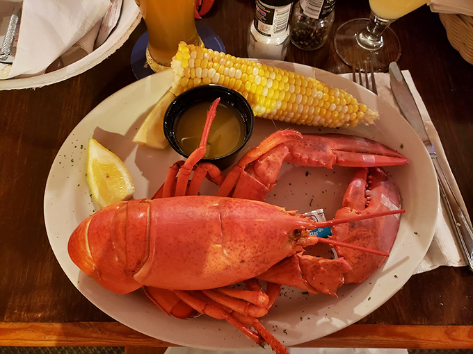 A perfectly steamed Maine lobster arrives like royalty, complete with corn on the cob and drawn butter.