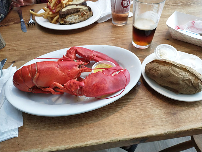 A perfectly steamed Maine lobster, ready for its close-up and your drawn butter bath. Photo credit: John Kruszyna