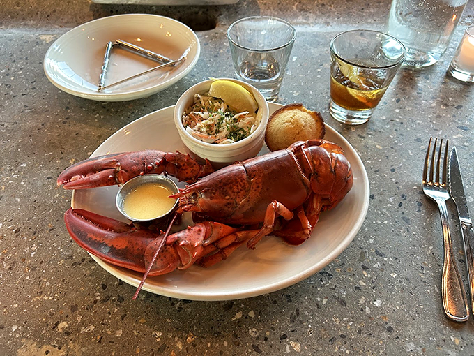 This whole steamed lobster isn't just dinner &ndash; it's an event, complete with drawn butter and coastal views. Photo credit: hank doster
