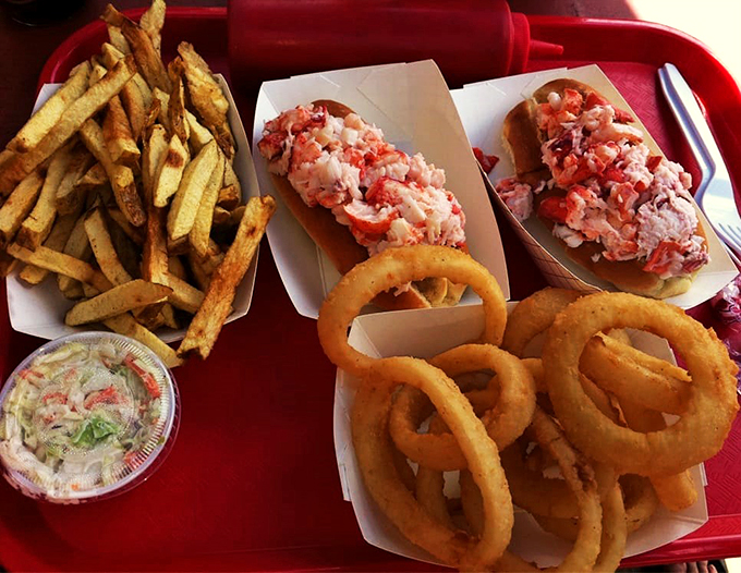 The holy trinity of Maine dining: perfectly dressed lobster roll, crispy onion rings, and hand-cut fries that mean business.