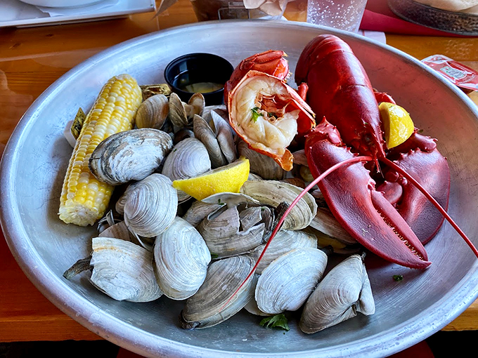 The ultimate Maine feast: steamed clams and fresh lobster sharing the spotlight like co-stars in a delicious seaside drama.