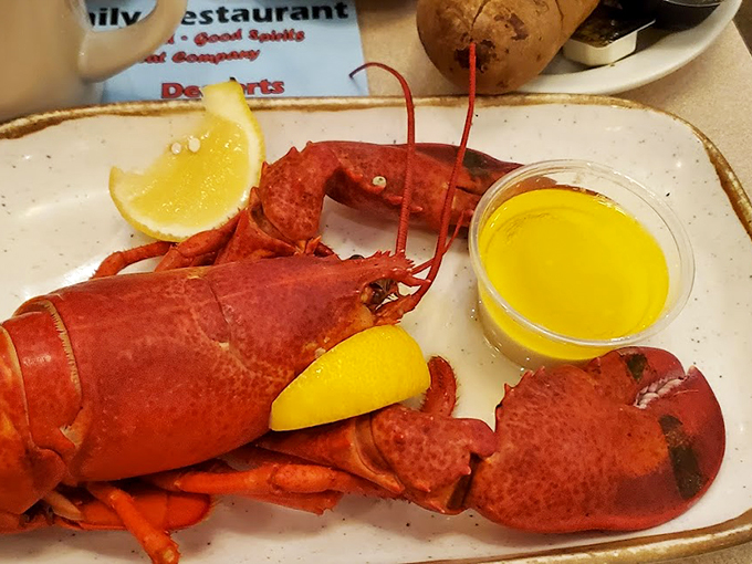 Maine lobster in its natural habitat - on a plate, ready for its butter bath.