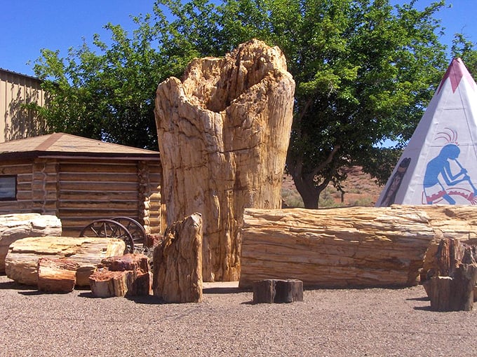 This isn't your average family tree. Petrified logs tell tales of forests long gone, now frozen in geological time. Photo credit: mmikko