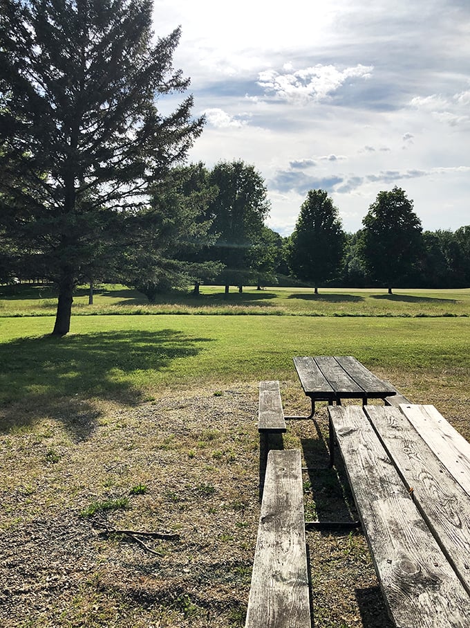 Nature's dining room: Where squirrels are the ma&icirc;tre d's and the dress code is strictly casual. Your table (or picnic bench) is waiting!