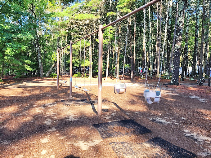 Old-school fun meets forest charm at this pine-shaded playground, where kids can swing into adventure.