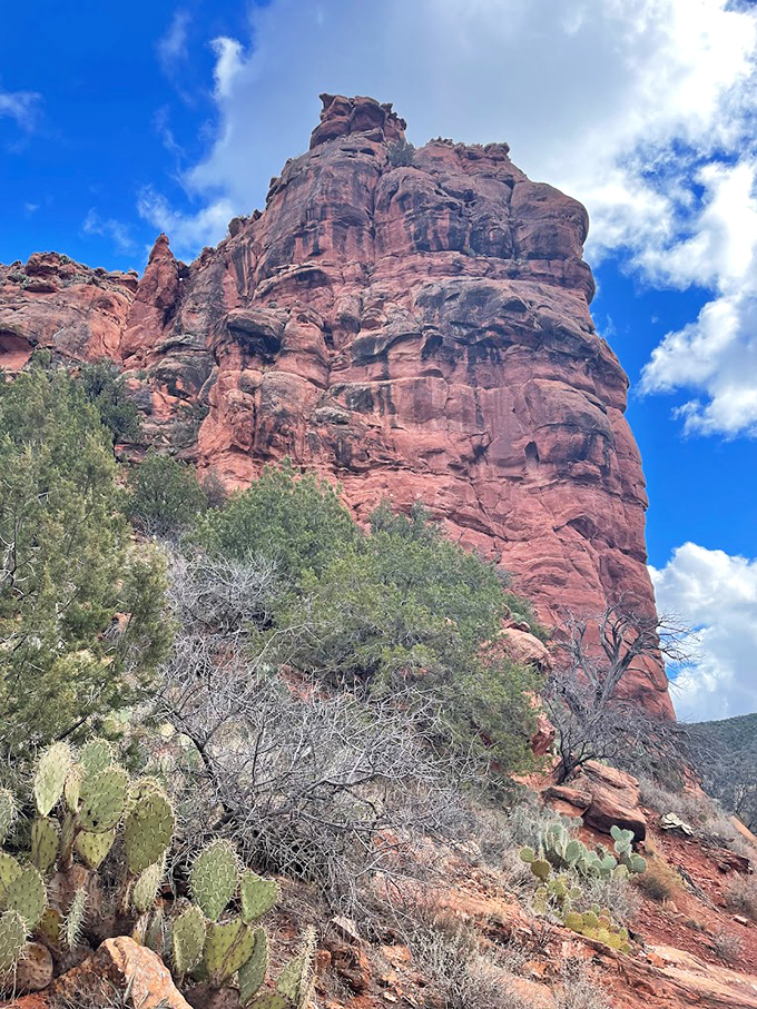 Like nature's own skyscraper, this magnificent red rock spire reaches skyward, dwarfing the cacti at its feet.