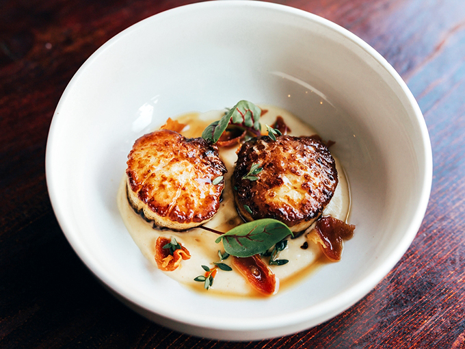 Perfectly seared scallops gleam like pearls in a sea of delicate sauce, showing off Maine's coastal bounty.