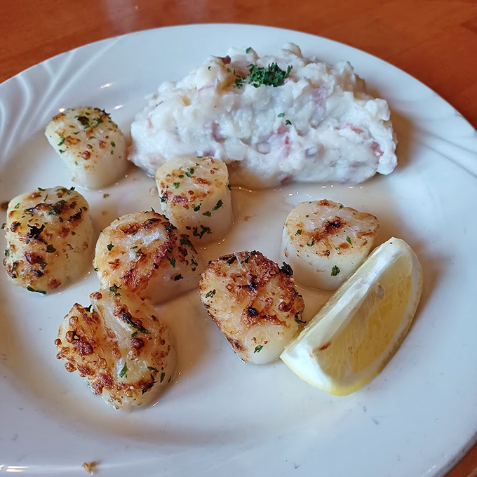 Perfectly seared scallops lined up like pearls, with a side of cloud-like mashed potatoes for good measure.