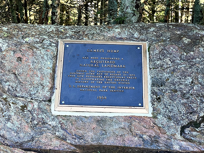 Nature's hall of fame plaque. Camel's Hump got its "I'm kind of a big deal" moment back in 1968, and it's been showing off ever since.
