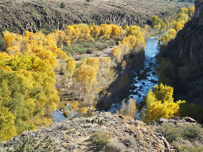 Like a natural amphitheater, this limestone bowl cradles an emerald pool, nature's own version of a secret swimming spot.